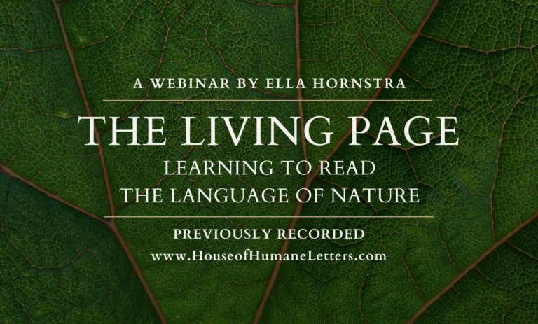 Webinars – House of Humane Letters
