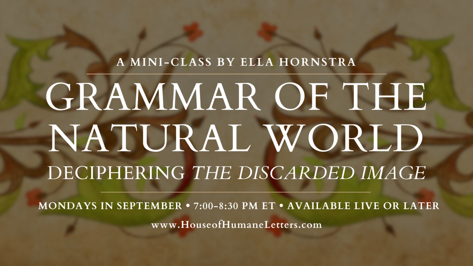 Grammar of the Natural World: Deciphering The Discarded Image (Mini ...